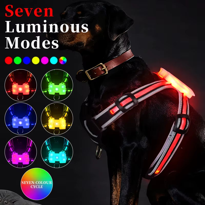 LED Dog Harness Pet Rechargeable Adjustable Flashing Waterproof Collar ...